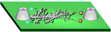 Electrochemical migration of Sn and Sn solder alloys: a review - RSC ...
