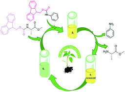 Simple and efficient Fmoc removal in ionic liquid - RSC Advances (RSC ...
