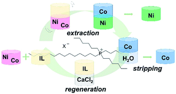 Cobalt(ii)/nickel(ii) separation from sulfate media by solvent ...