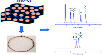 A graphene-based porous carbon material as a stationary phase for gas ...