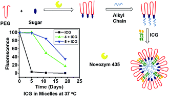 Lipase-mediated synthesis of sugar–PEG-based amphiphiles for ...