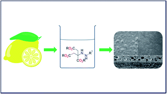 Bio-based additives as renewable alternatives for polyvinylchloride ...