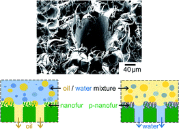 Selective filtration of oil/water mixtures with bioinspired porous ...