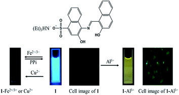 A single fluorescent chemosensor for multiple targets of Cu2+, Fe2+/3 ...