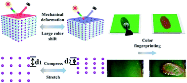 Highly sensitive mechanochromic photonic gel towards fast- responsive ...