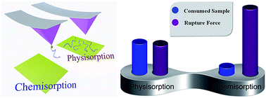 Direct comparison between chemisorption and physisorption: a study of ...
