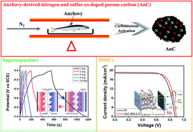 Anchovy-derived nitrogen and sulfur co-doped porous carbon materials for high-performance ...
