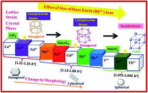 Size of the rare-earth ions: a key factor in phase tuning and morphology control of binary and ...