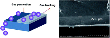 Study on the preparation and performance of low gas permeability ...
