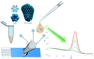 Innovative gold-free carbon nanotube/chitosan-based competitive ...