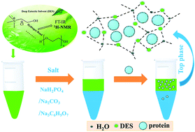 Green aqueous biphasic systems containing deep eutectic solvents and ...