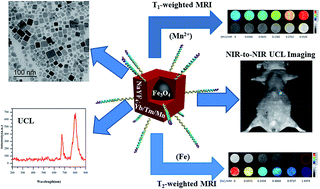 Core@shell Fe3O4@Mn2+-doped NaYF4:Yb/Tm nanoparticles for triple-modality T1/T2-weighted MRI and ...