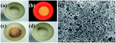 Influence of lead-free glass frit in the front contact paste on the ...