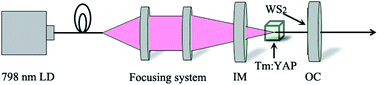 A 2 micron passively Q-switched bulk state pulsed laser based on WS2 ...