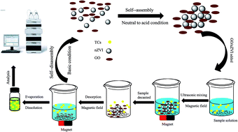Magnetic solid phase extraction based on graphene oxide/nanoscale zero-valent iron for the ...