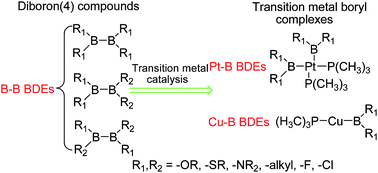 Theoretical study on homolytic B–B cleavages of diboron(4) compounds ...