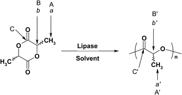 Enzymatic ring-opening polymerization (ROP) of lactides and lactone in ...
