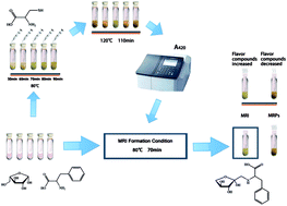 Controlled formation of flavor compounds by preparation and application ...
