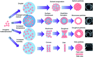 Mesoporous TiO2 hierarchical structures: preparation and efficacy in ...