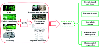 Recent advances and effective strategies in the discovery and ...