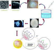 Solvent-free synthesis of the cellulose-based hybrid beads for ...