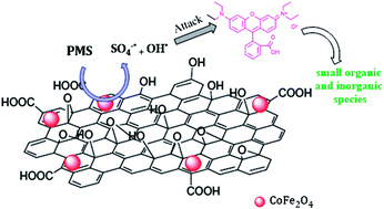 Magnetic CoFe2O4 nanoparticles supported on graphene oxide (CoFe2O4/GO ...