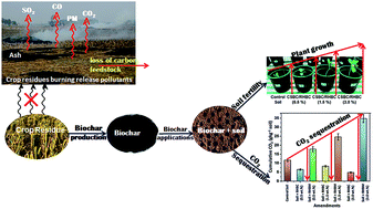 Biochar production and applications in soil fertility and carbon ...