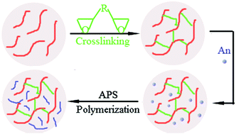 Preparation of conductive composite hydrogels from carboxymethyl ...