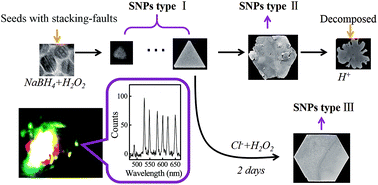 Synthesis of silver nanoplate based two-dimension plasmonic platform ...