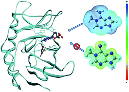 Structural basis for substrate discrimination by E. coli repair enzyme ...