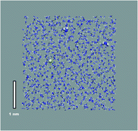 On the solvation of metal ions in liquid ammonia: a molecular ...