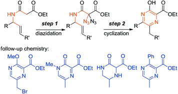 Synthesis of substituted pyrazines from N-allyl malonamides - RSC ...