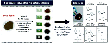 Sequential solvent fractionation of lignin for selective production of ...