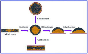 Molecular dynamics study on the formation of self-organized core/shell ...