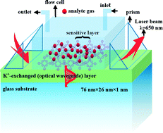 Optochemical properties of gas-phase protonated tetraphenylporphyrin ...