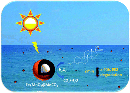 Core–shell microspheres for the ultrafast degradation of estrogen ...