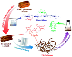 Effects of combined pretreatment of dilute acid pre-extraction and ...