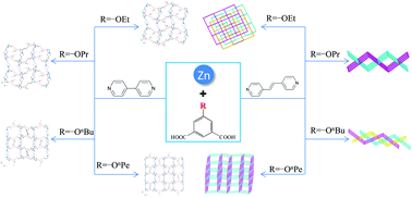 Assembly of a series of zinc coordination polymers based on 5-functionalized isophthalic acids ...