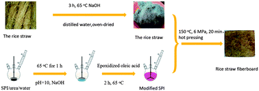 Mechanical and water-resistant properties of rice straw fiberboard ...