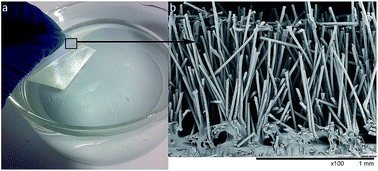 Fabrication of a superhydrophobic surface with underwater air-retaining properties by ...