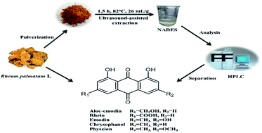 Natural deep eutectic solvents as new green solvents to extract ...