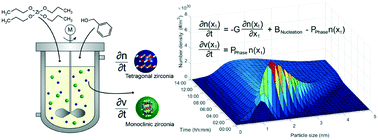 Experimental and numerical insights into the formation of zirconia ...