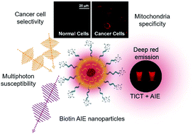 Functionalized AIE nanoparticles with efficient deep-red emission ...