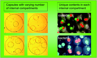 A new design for an artificial cell: polymer microcapsules with ...
