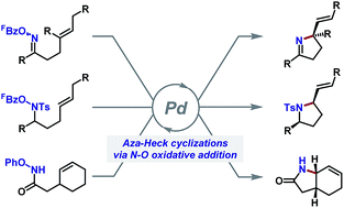 Recent developments in the use of aza-Heck cyclizations for the ...