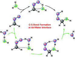 Criegee intermediate-hydrogen sulfide chemistry at the air/water ...
