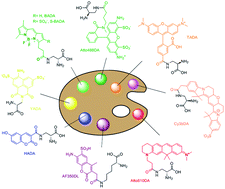 Full color palette of fluorescent d-amino acids for in situ labeling of ...