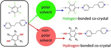 Hydrogen bonding vs. halogen bonding: the solvent decides - Chemical ...