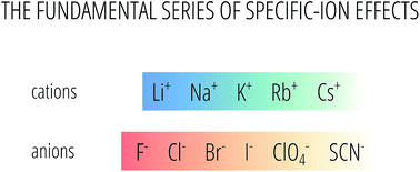 What is the fundamental ion-specific series for anions and cations? Ion ...