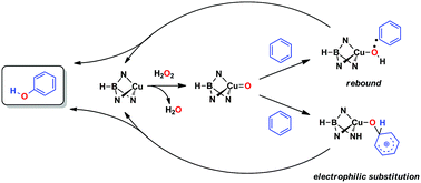 A competing, dual mechanism for catalytic direct benzene hydroxylation ...